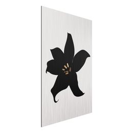 Bilderwelten Alu Dibond Outdoor Bild Blumen schwarz weiss Tropisch wetterfest - Grafische Pflanzenwelt - Orchidee Schwarz und Gold - Deko Wohnzimmer Schlafzimmer