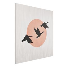 Bilderwelten Alu Dibond Outdoor Bild Natur rosa modern wetterfest - V&ouml;gel vor rosa Sonne III - Sonnenuntergang Wohnzimmer Schlafzimmer
