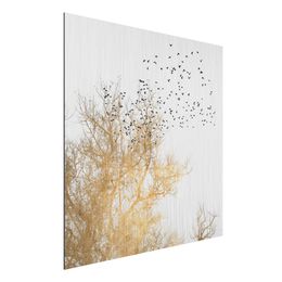 Bilderwelten Alu Dibond Outdoor Bild Wald gold modern wetterfest - Vogelschwarm vor goldenem Baum - B&auml;ume Wohnzimmer Schlafzimmer