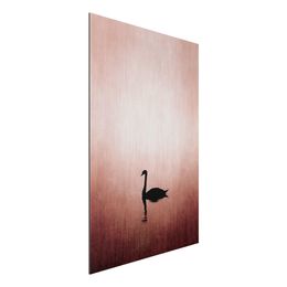 Bilderwelten Alu Dibond Outdoor Bild Natur rot modern wetterfest - Schwan im Sonnenuntergang - Sonnenuntergang Wohnzimmer Schlafzimmer