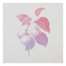 Bilderwelten Alu Dibond Outdoor Bild rosa Vintage wetterfest - Modern Vintage Botanik Pfirsich Rosa Violett - Pflanzen Wohnzimmer Schlafzimmer