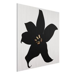 Bilderwelten Alu Dibond Outdoor Bild Blumen schwarz weiss Tropisch wetterfest - Grafische Pflanzenwelt - Orchidee Schwarz und Gold - Deko Wohnzimmer Schlafzimmer