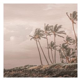 Bilderwelten Alu-Dibond Outdoor Bild Aloha Hawaii Strand II