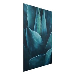 Alu Dibond Outdoor Bild - Sukkulente Petrol I - petrol Tropisch wetterfest Deko Wohnzimmer Schlafzimmer