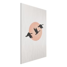 Bilderwelten Alu Dibond Outdoor Bild Natur rosa modern wetterfest - V&ouml;gel vor rosa Sonne III - Sonnenuntergang Wohnzimmer Schlafzimmer