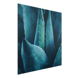 Alu Dibond Outdoor Bild - Sukkulente Petrol I - petrol Tropisch wetterfest Deko Wohnzimmer Schlafzimmer