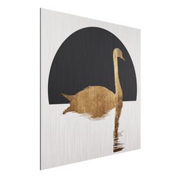 Bilderwelten Alu Dibond Outdoor Bild Natur gold modern wetterfest - Schwan in Gold - Sonnenuntergang Wohnzimmer Schlafzimmer