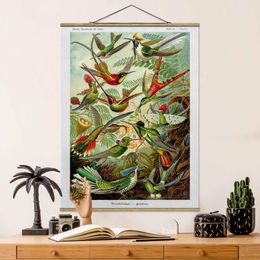 Bilderwelten Stoffbild Tiere bunt Vintage Vintage-Charakter - Vintage Lehrtafel Kolibris - Retro Wohnzimmer Schlafzimmer