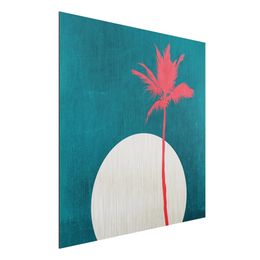 Alu Dibond Outdoor Bild - Palme Karibik - Natur petrol Tropisch wetterfest Palme Wohnzimmer Schlafzimmer