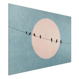 Alu Dibond Outdoor Bild - V&ouml;gel vor rosa Sonne I - Natur petrol modern Aquarell Sonnenuntergang Wohnzimmer Schlafzimmer