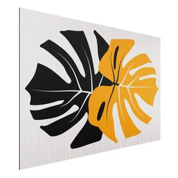 Alu Dibond Outdoor Bild - Monstera Schwarz Gelb - gelb Tropisch wetterfest Deko Wohnzimmer Schlafzimmer
