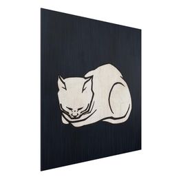 Bilderwelten Alu Dibond Outdoor Bild Tiere schwarz weiss Illustration wetterfest - Schlafende Katze Illustration - Katze Wohnzimmer Schlafzimmer
