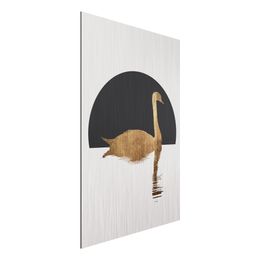 Bilderwelten Alu Dibond Outdoor Bild Natur gold modern wetterfest - Schwan in Gold - Sonnenuntergang Wohnzimmer Schlafzimmer