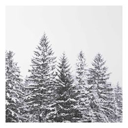 Bilderwelten Alu-Dibond Outdoor Bild Dunkle Winterlandschaft