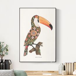 Bilderwelten Akustik-Wechselbild Boho Vogel - Tukan