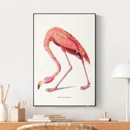 Akustik-Wechselbild Boho Vogel - Flamingo