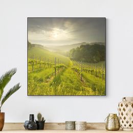 Bilderwelten Wechselbild Sonnenstrahlen Weinberg