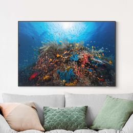 Bilderwelten Wechselbild Lagune Unterwasser
