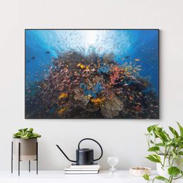 Bilderwelten Wechselbild Lagune mit Fischen