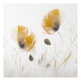 Bilderwelten Alu-Dibond Outdoor Bild Mohnblumen und zarte Gr&auml;ser im weichen Nebel
