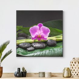 Bilderwelten Wechselbild Gr&uuml;ner Bambus mit Orchideenbl&uuml;te