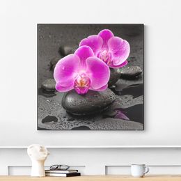 Bilderwelten Wechselbild Pinke Orchideenbl&uuml;ten auf Steinen mit Tropfen
