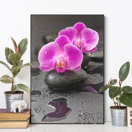 Bilderwelten Wechselbild Pinke Orchideenbl&uuml;ten auf Steinen mit Tropfen
