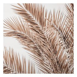 Bilderwelten Alu-Dibond Outdoor Bild Bronzefarbene Palmenwedel