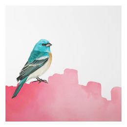 Bilderwelten Alu-Dibond Outdoor Bild Vogel auf Pink