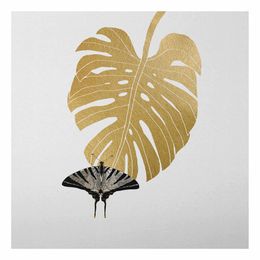 Bilderwelten Alu-Dibond Outdoor Bild Goldene Monstera mit Schmetterling