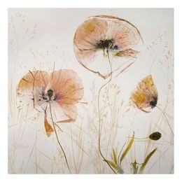Bilderwelten Alu-Dibond Outdoor Bild Getrocknete Mohnbl&uuml;ten mit zarten Gr&auml;sern