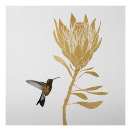 Bilderwelten Alu-Dibond Outdoor Bild Kolibri und tropische goldene Bl&uuml;te