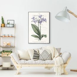 Bilderwelten Wechselbild Botanisches Tableau - G&ouml;tterblume