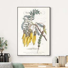 Bilderwelten Wechselbild Botanisches Tableau - Schnurbaum