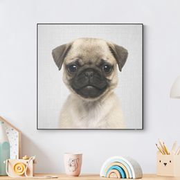Bilderwelten Wechselbild Baby Mops Moritz