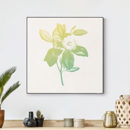 Bilderwelten Wechselbild Modern Vintage Botanik Kirschbl&uuml;te Gr&uuml;n Gelb