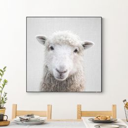 Bilderwelten Wechselbild Schaf Steffi