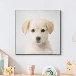 Bilderwelten Wechselbild Baby Golden Retriever Gizmo