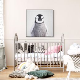 Bilderwelten Wechselbild Baby Pinguin Pepe