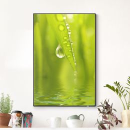 Bilderwelten Wechselbild Morning Dew