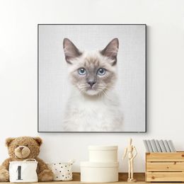 Bilderwelten Wechselbild Siamkatze Sibylle
