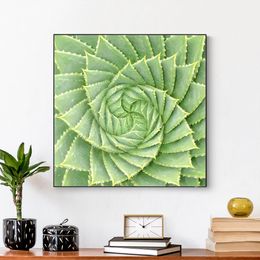 Bilderwelten Wechselbild Spiral Aloe