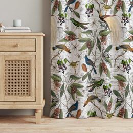 Bilderwelten Vorhang Nostalgischer Beerenblues mit Paradiesv&ouml;geln - blickdichte Gardine Botanik Tropical Muster Tiere Wohnzimmer Schlafzimmer K&uuml;che Bad Badezimmer