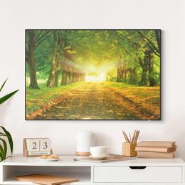Bilderwelten Wechselbild Autumn Avenue