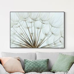 Bilderwelten Wechselbild Sch&ouml;ne Pusteblume Makroaufnahme