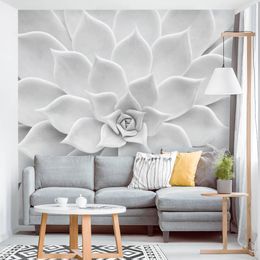 Bilderwelten Mustertapete Blumen Tropisch Wandtapete schwarz weiss - Kaktus Sukkulente - Pflanzen Wohnzimmer Schlafzimmer