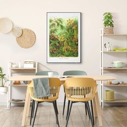 Bilderwelten Wechselbild Vintage Lehrtafel Moos