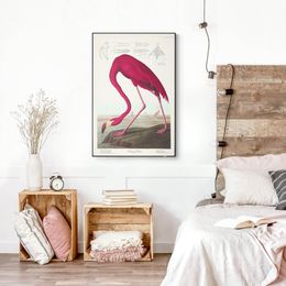 Bilderwelten Wechselbild Vintage Lehrtafel Amerikanischer Flamingo