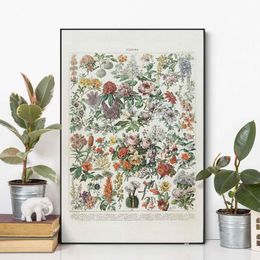 Bilderwelten Wechselbild Vintage Lehrtafel Blumen II