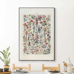 Bilderwelten Wechselbild Vintage Lehrtafel Blumen V